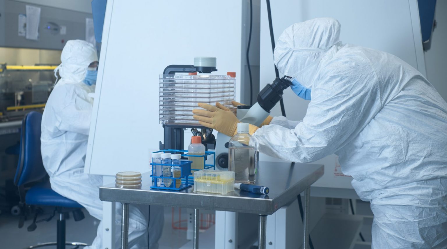 A Day in the Lab - Ossium Health